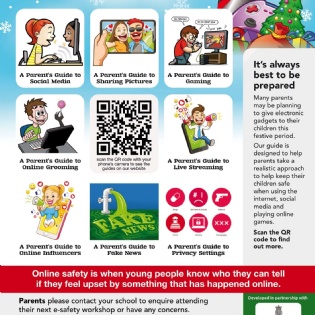 Holgate Primary and Nursery - Skips guide to keeping children safe online