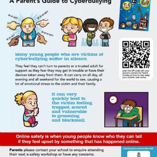 Holgate Primary and Nursery - Parent's Guide To Cyberbullying